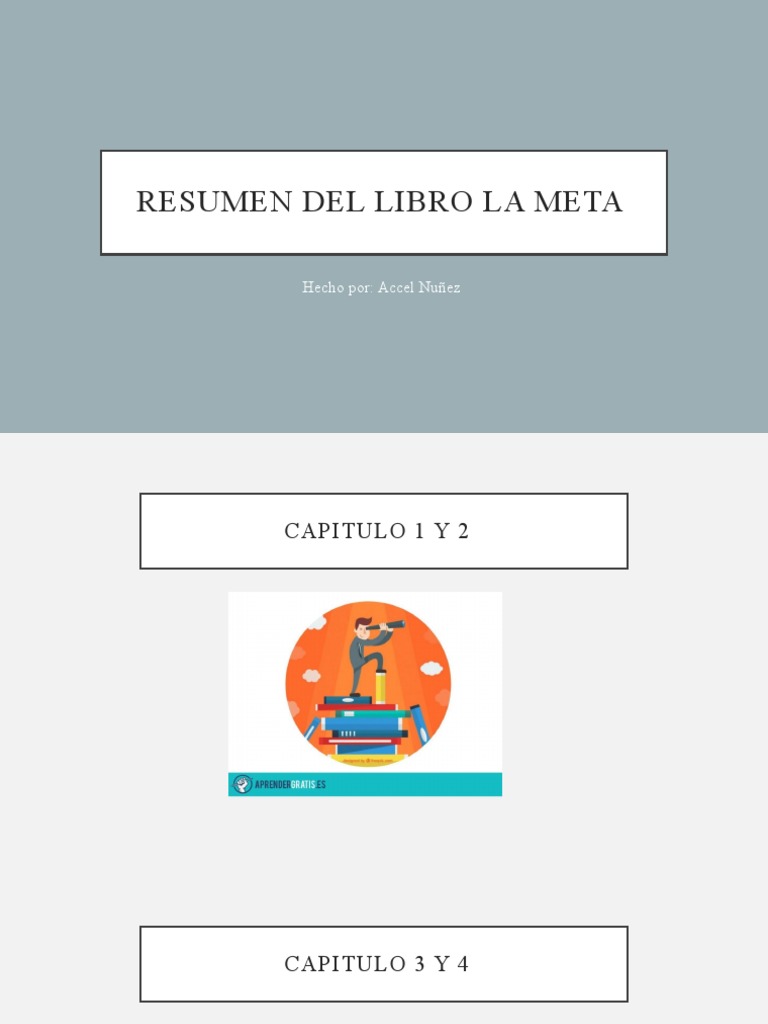 Resumen Del Libro La Meta | PDF