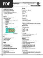 Rabies contact flowchart for humans | Rabies | Medical Specialties