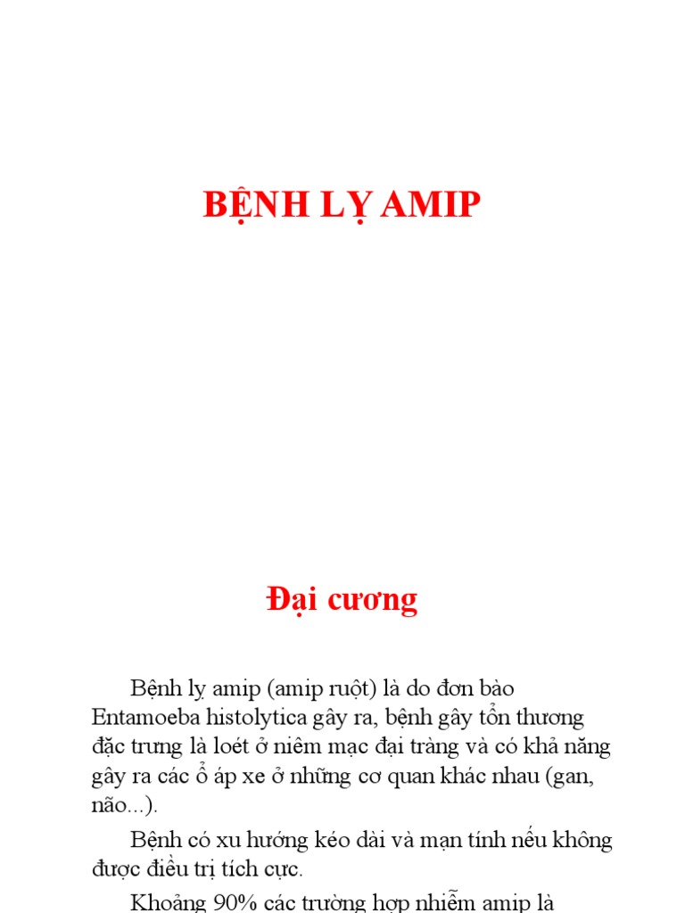 Bai Giang Ly Amip | PDF