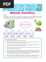 Pasos Del Método Científico para Quinto de Primaria | PDF | Método ...