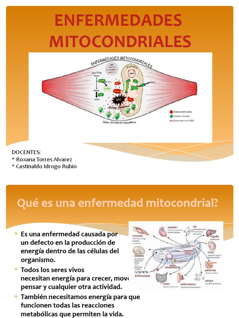 Enfermedades Mitocondriales | PDF | Mitocondria | Nutrición