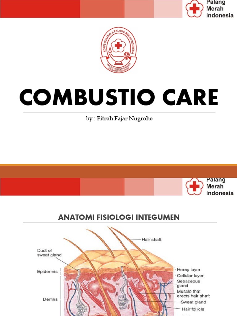 8 Combustio Care | PDF | Sains & Matematika