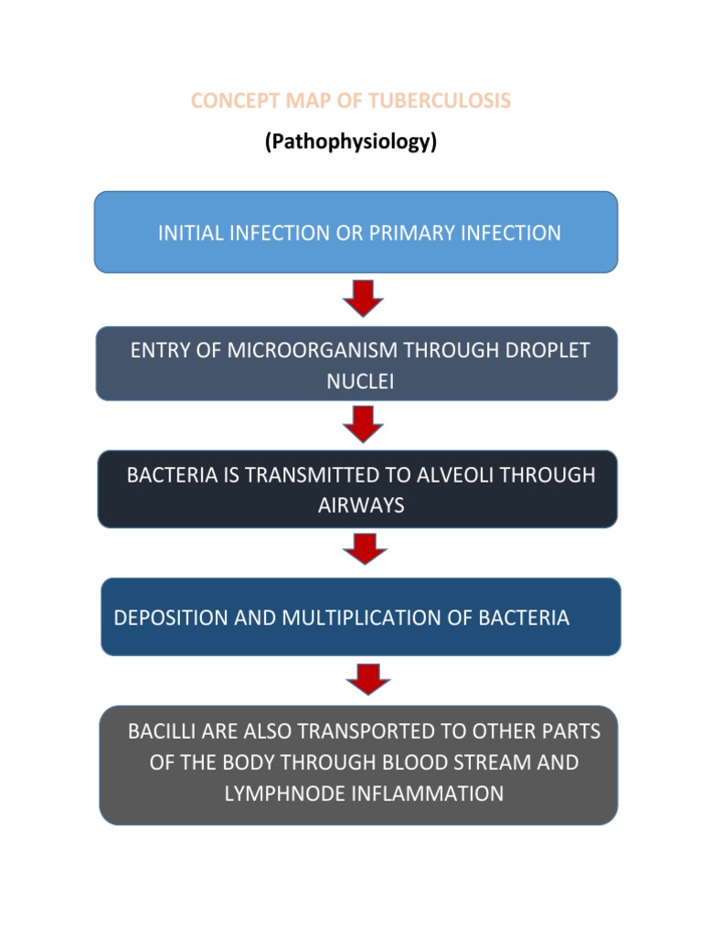 Tuberculosis Concept Map Pathophysiology | PDF | Respiratory Tract | Lung