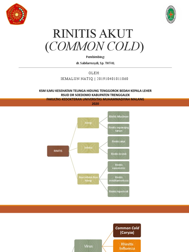 Rinitis Akut (Common Cold) | PDF