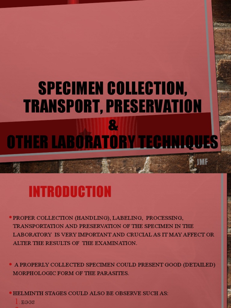 Stool Specimen Collection Guide | PDF | Staining | Human Feces