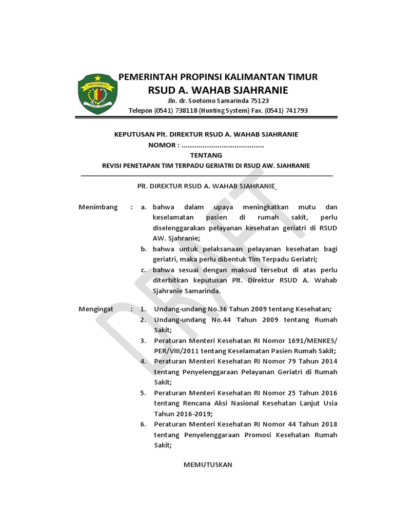 Usulan SK Geriatri | PDF