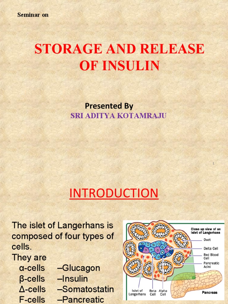 Insulin Storage and Stability Guidelines | PDF | Insulin | Molecular ...