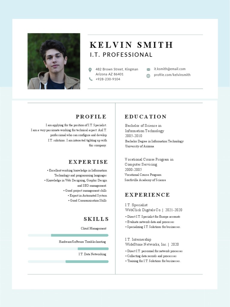 IT Professional Experience Resume | PDF | Expert | Information Technology