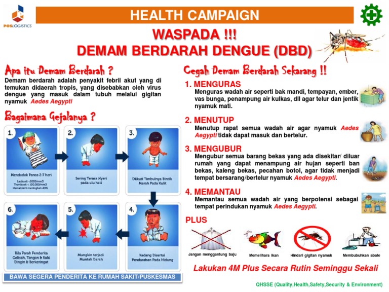 Health Campaign - DBD | PDF