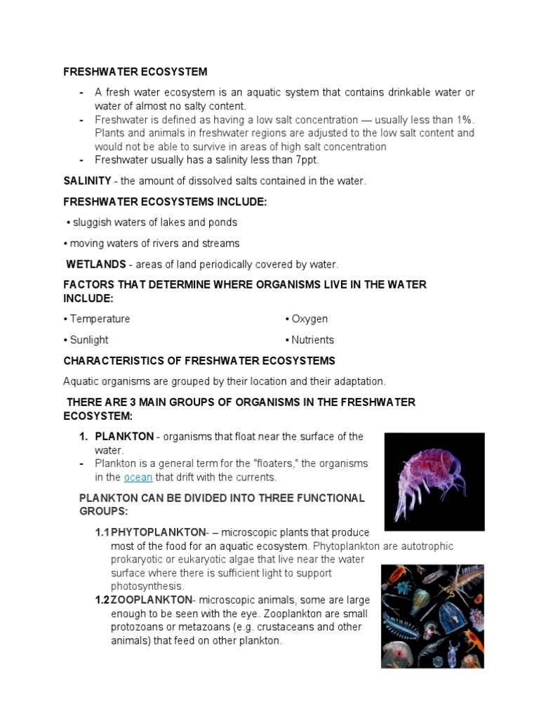 Freshwater Ecosystem | PDF | Aquatic Ecosystem | Lake