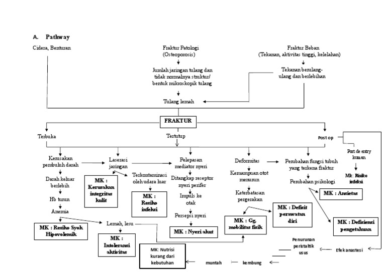 Pathway Fraktur | PDF