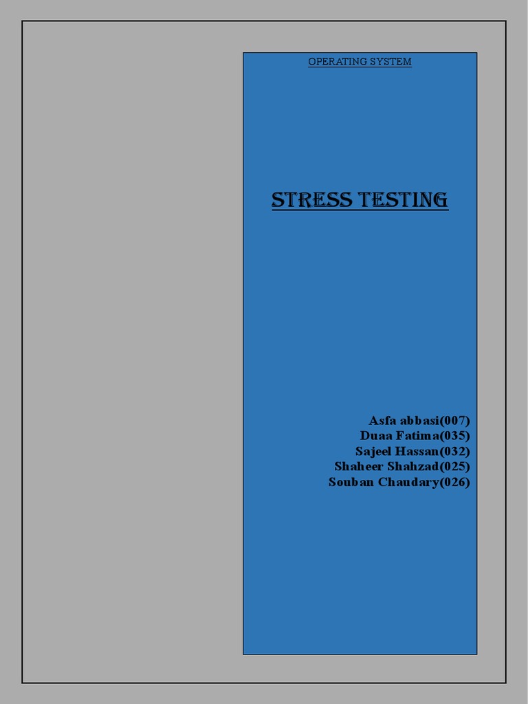 OS Stress Testing Report 15062020 102137pm | PDF | Operating System ...