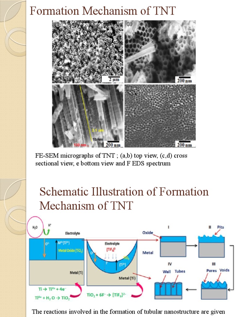 FE-SEM Micrographs of TNT (A, B) Top View, (C, D) Cross Sectional View ...