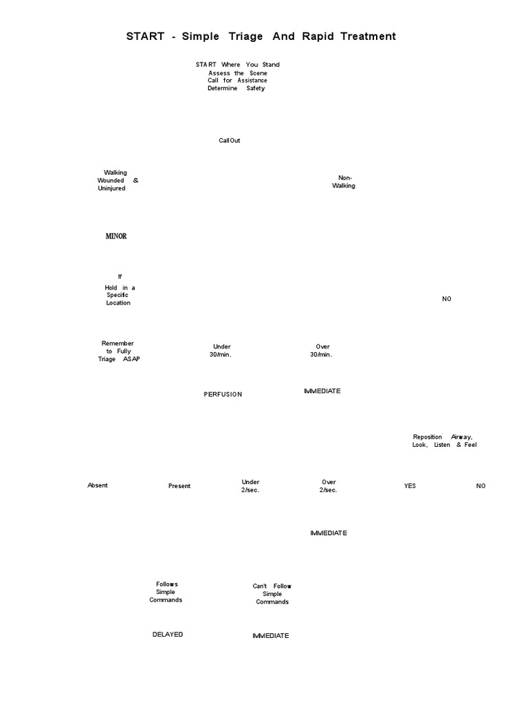 START - Simple Triage and Rapid Treatment: Minor | PDF | Dangerous ...