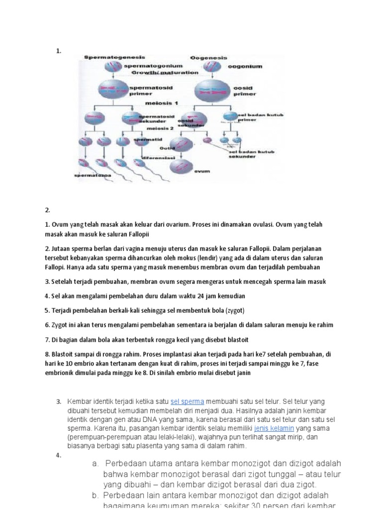 Sel Sperma | PDF | Kesehatan Holistik | Sains & Matematika