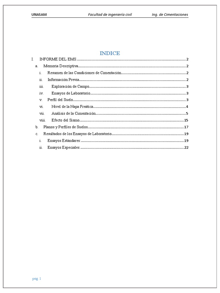Informe Del Ems | PDF | Fundación (Ingeniería) | Ingeniero civil