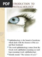 Ocular Fundus Drawing | PDF | Retina | Human Eye
