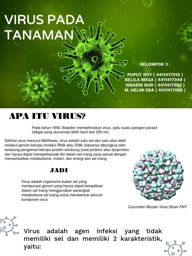 Virus Pada Tanaman Kel 3 - Compressed | PDF