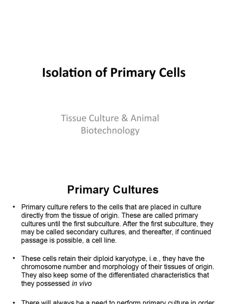 Isolation of Primary Cells: Tissue Culture & Animal Biotechnology | PDF ...