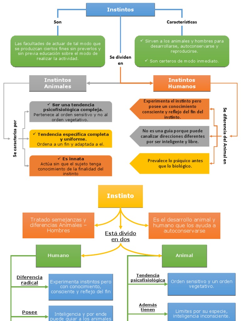 Mapa Conceptual Los Instintos | PDF | Psique (psicología) | Ciencias ...