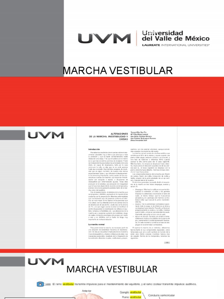 Marcha Vestibular: Causas y Diagnóstico | PDF