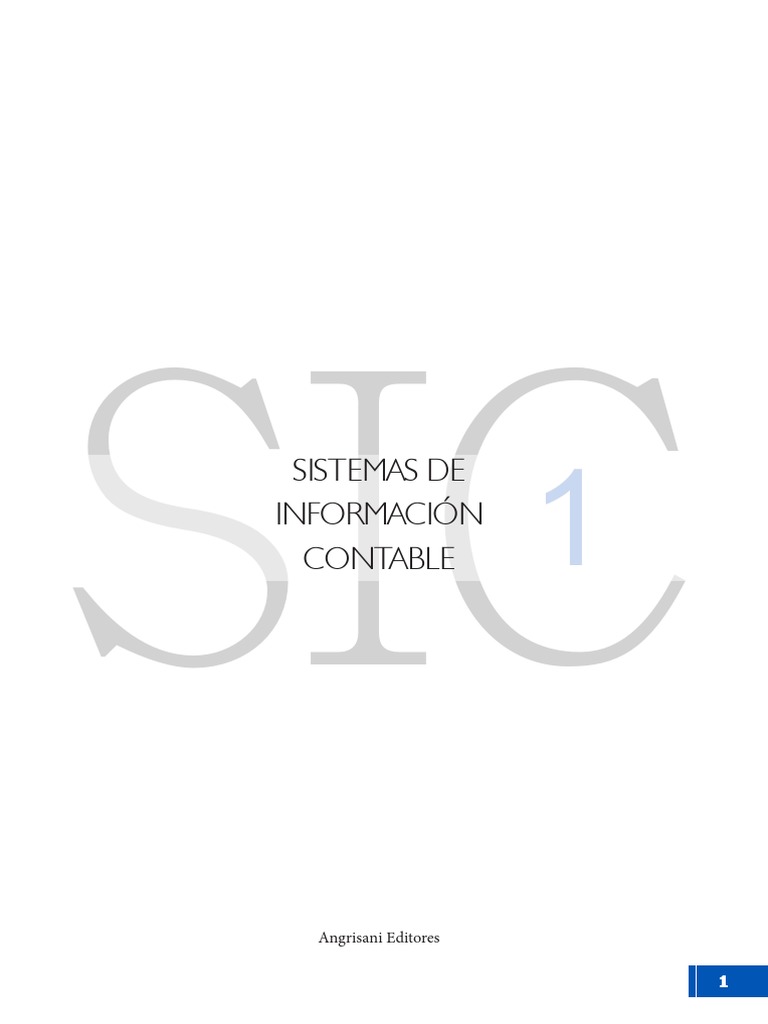 Libro Sic 1 Angrisani Nuevo Teoria PDF | PDF | Contabilidad | Sector terciario de la economía