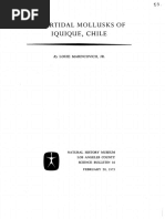 MRI Face Protocol From Position To Planning 1742216269 | PDF | Magnetic ...