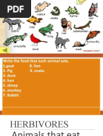 Printable Animal Quiz With Anwers | PDF | Mammals | Guinea Pig