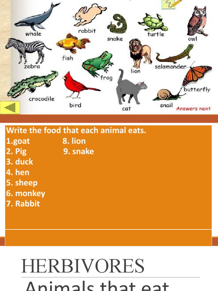 Classification of Animals According To The Food They Eat (Autosaved) | PDF