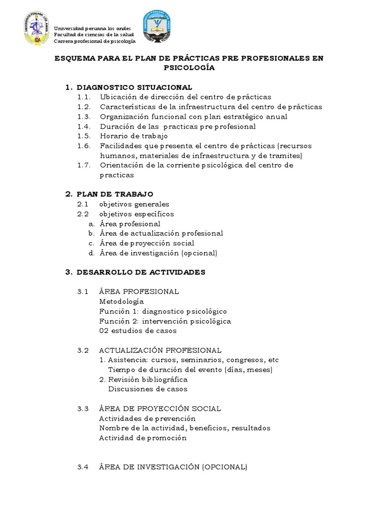 Esquema para Presentar Plan de Practicas Pre Profesionales | PDF