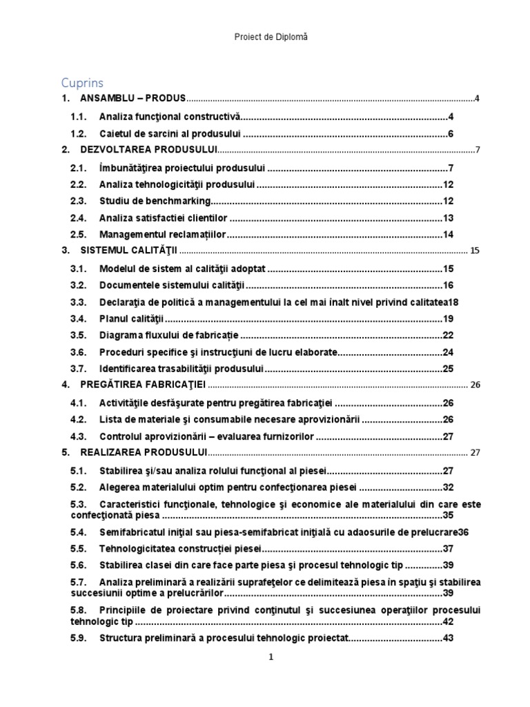 Licenta Model PDF | PDF