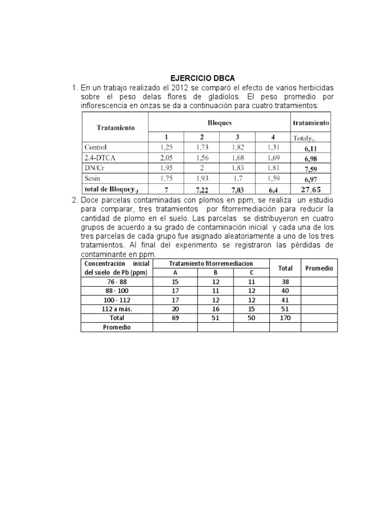 Ejercicio Dbca | PDF
