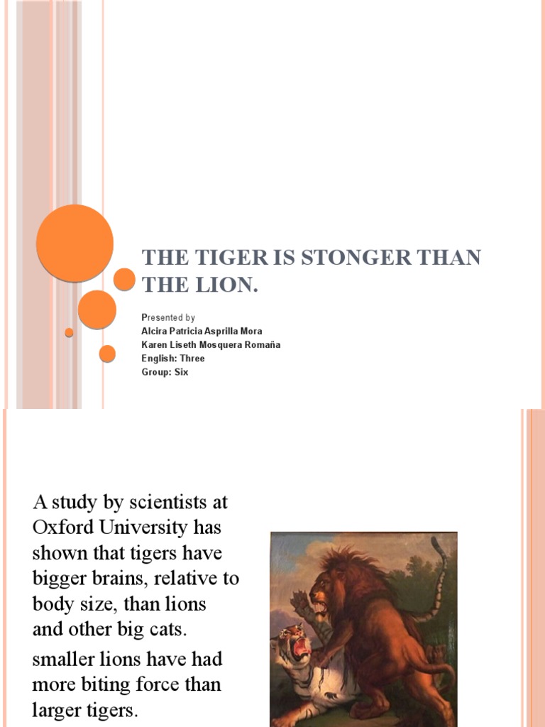 POSTER LIONS Vs TIGERS | PDF