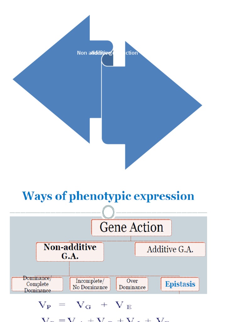 Gene Action | PDF