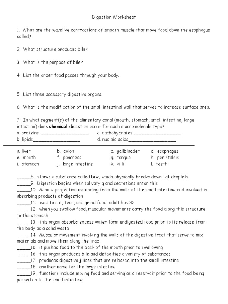 Digestion Worksheet Review | PDF