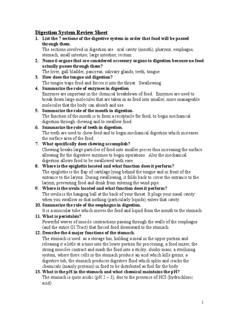 Digestive System Review Sheet | PDF | Digestion | Human Digestive System