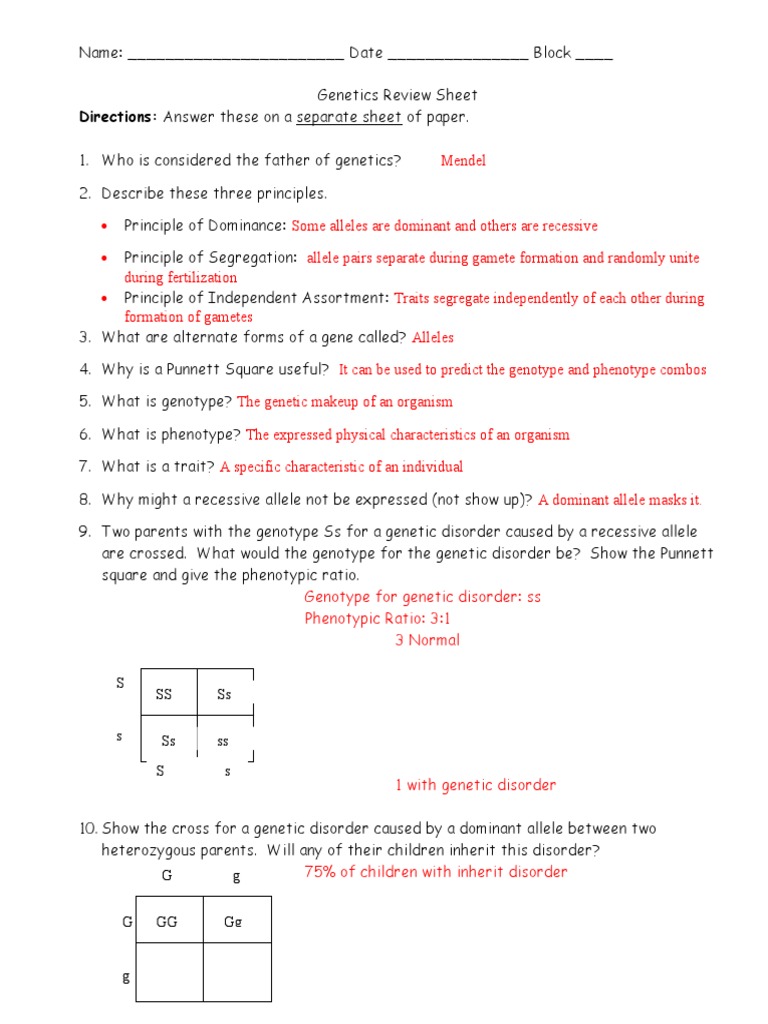 Genetics Test Review KEY | PDF | Dominance (Genetics) | Allele