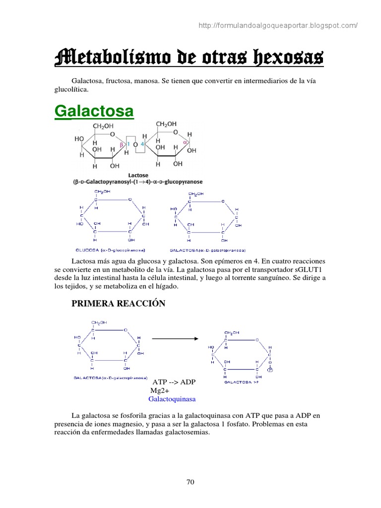 Metabolismo de Otras Hexosas | PDF | Fructosa | Glucólisis