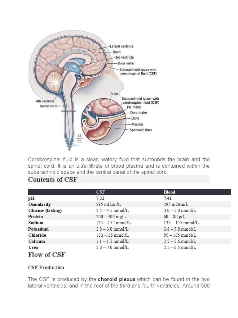 Cerebrospinal Fluid | PDF | Cerebrospinal Fluid | Human Anatomy