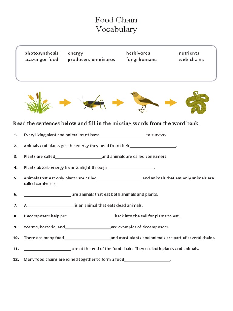 Food Chain Cloze Activity Fun Activities Games Reading Comprehension ...