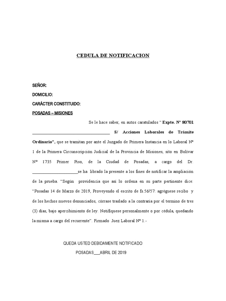 Modelo Cedula de Notificacion | PDF