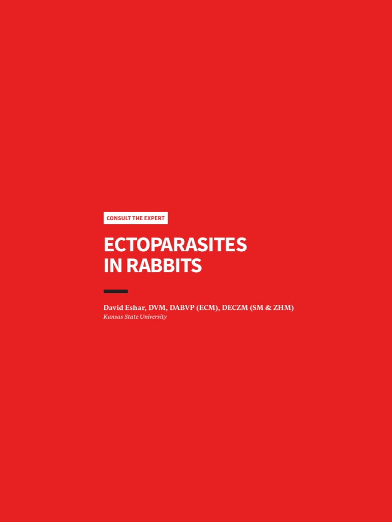 CTE - Ectoparasites in Rabbits PDF | PDF | Parasitism | Medical Specialties