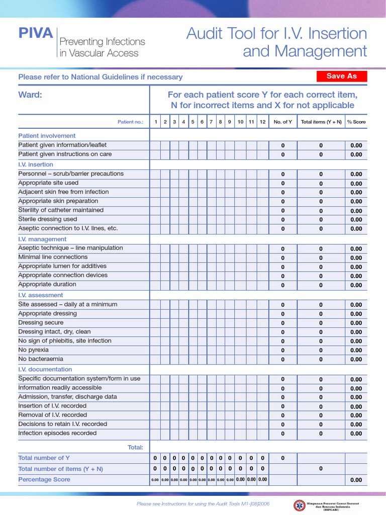 PIVA Audit Tools IV N2-0806 | PDF | Intravenous Therapy | Health Care