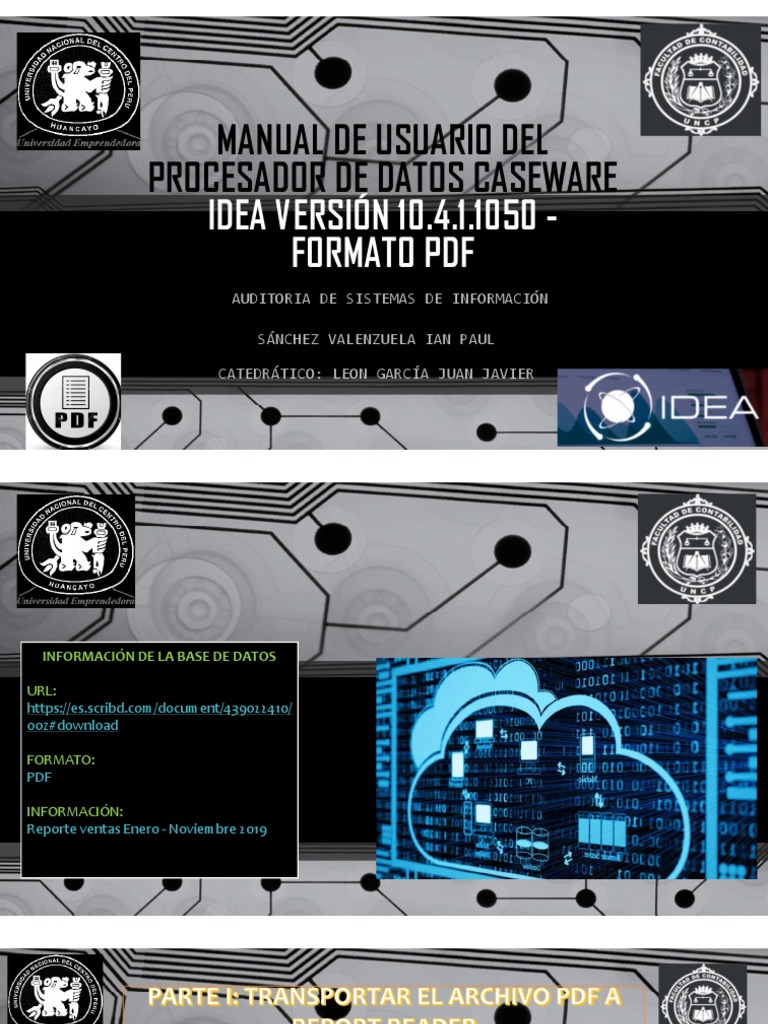 Manual de Usuario Del Procesador de Datos Caseware Idea Versión 10.4.1 ...