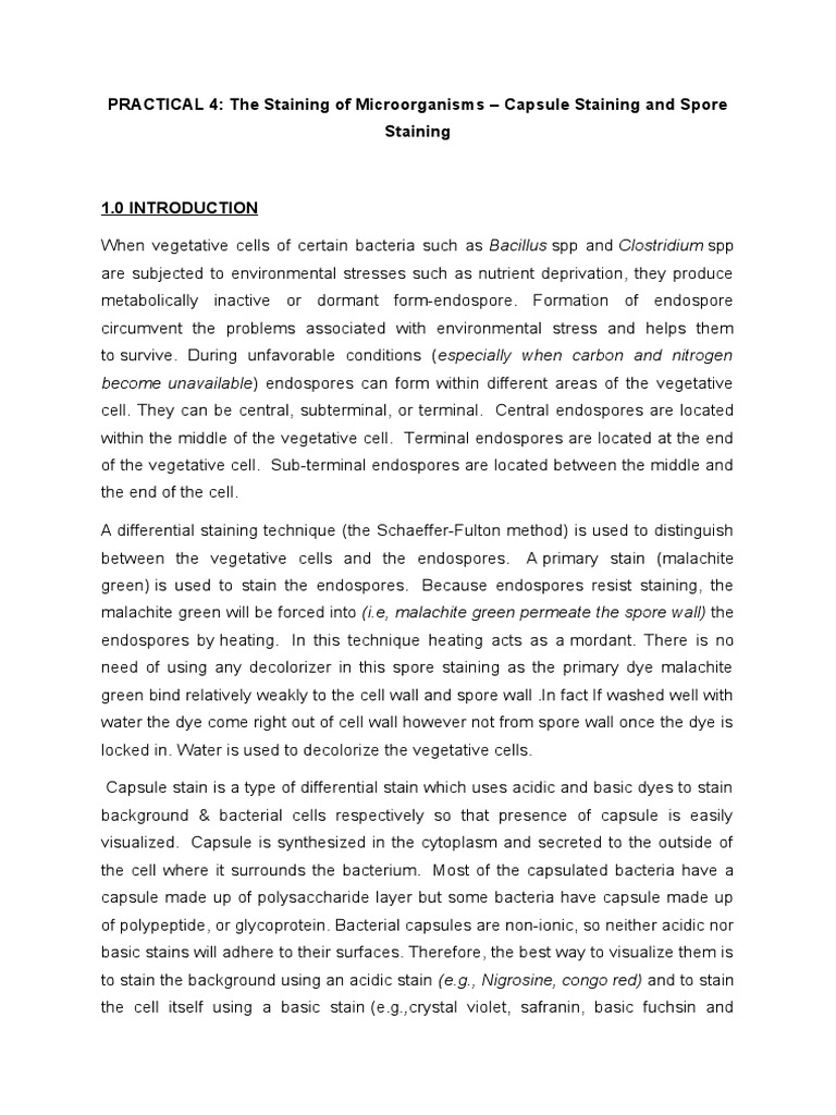 PRACTICAL 4: The Staining of Microorganisms - Capsule Staining and Spore Staining | PDF ...