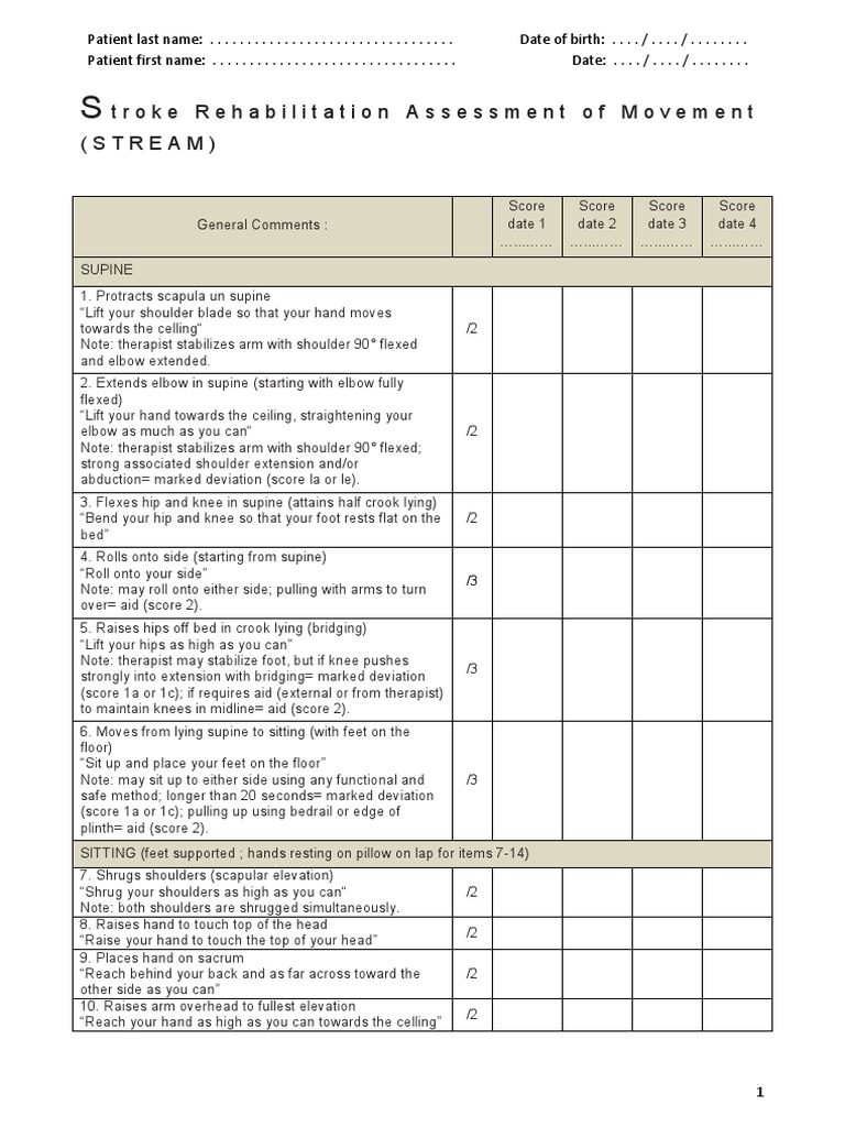Stroke Rehabilitation Assessment of Movement STREAM | PDF | Anatomical ...