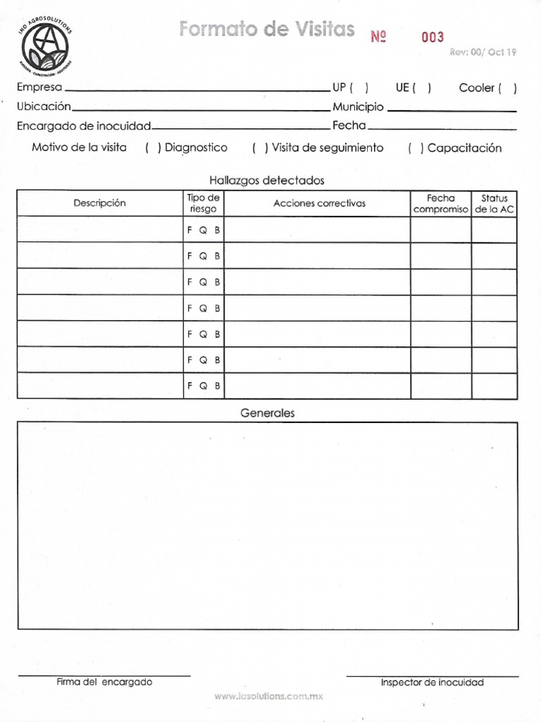 Formato de Visitas PDF | PDF