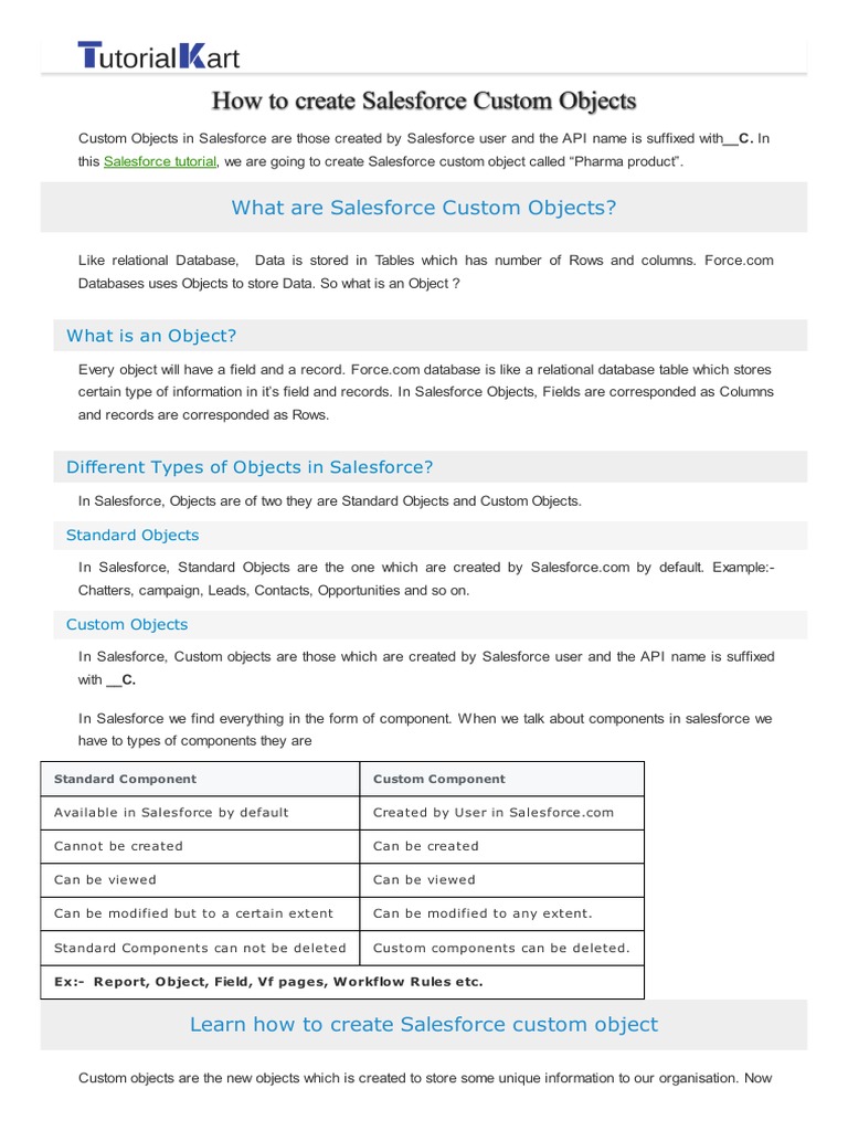 How To Create Salesforce Custom Objects Pdf Pdf Application Software Computer Data