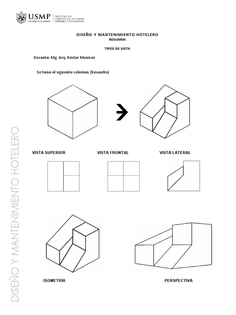 Resumen TIPOS DE VISTA PDF | PDF
