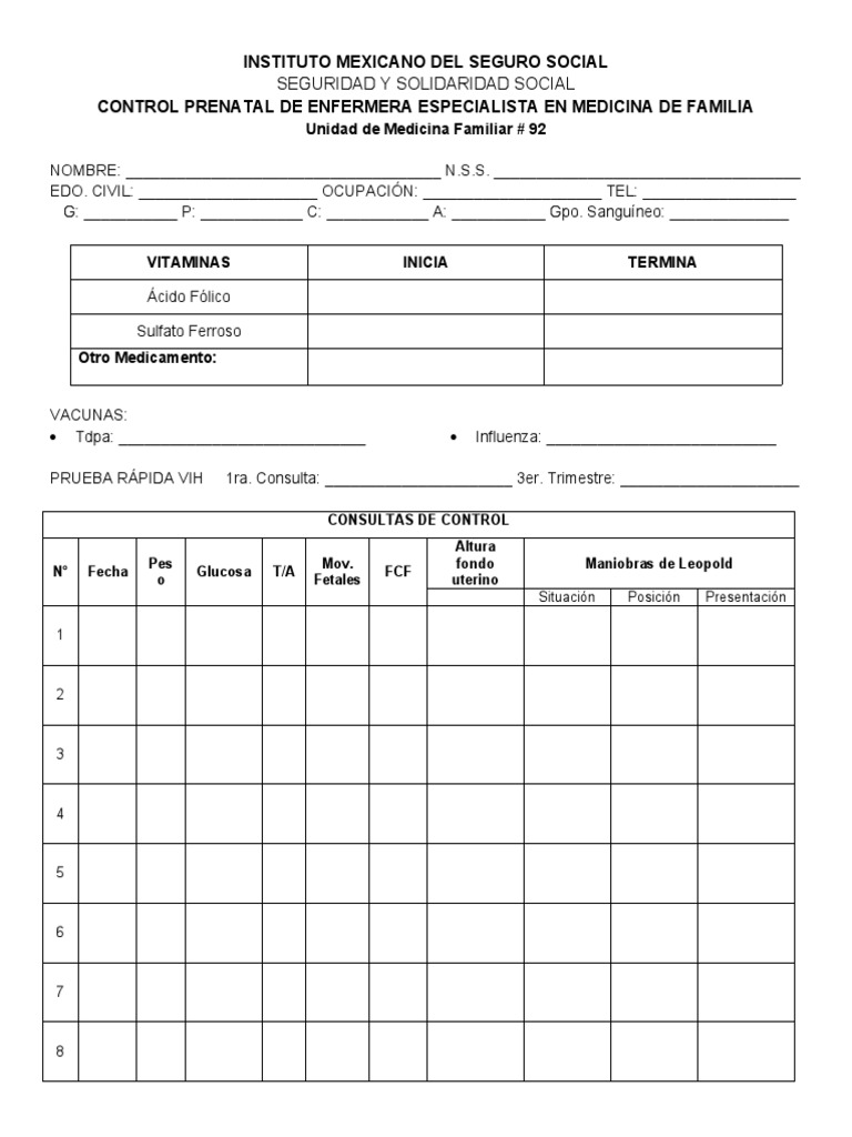 Formato Control Prenatal | PDF